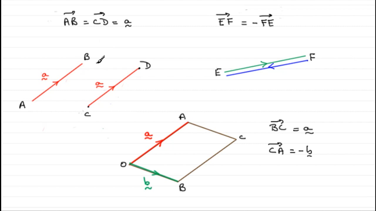 _Geometry_Vectors_Vector notation 2d_Vectors _ equal and negative vectors _ ExamSolu on Vimeo
