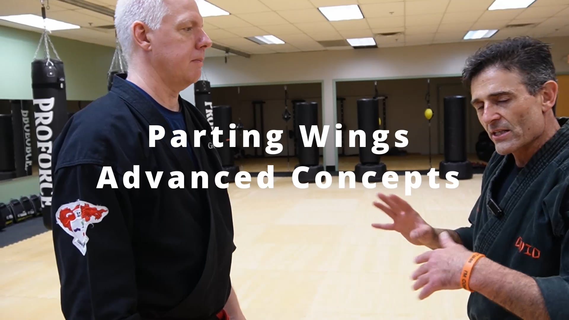 Parting Wings Tier 3.1 on Vimeo