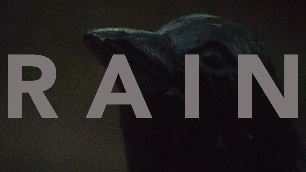 RAIN on Vimeo