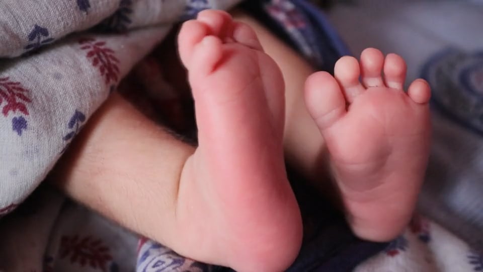 Bamboo Birth - Birthing and Parenting Center