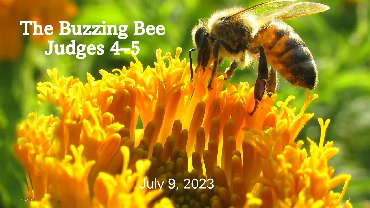 2023-07-09 Judges 4-5 on Vimeo