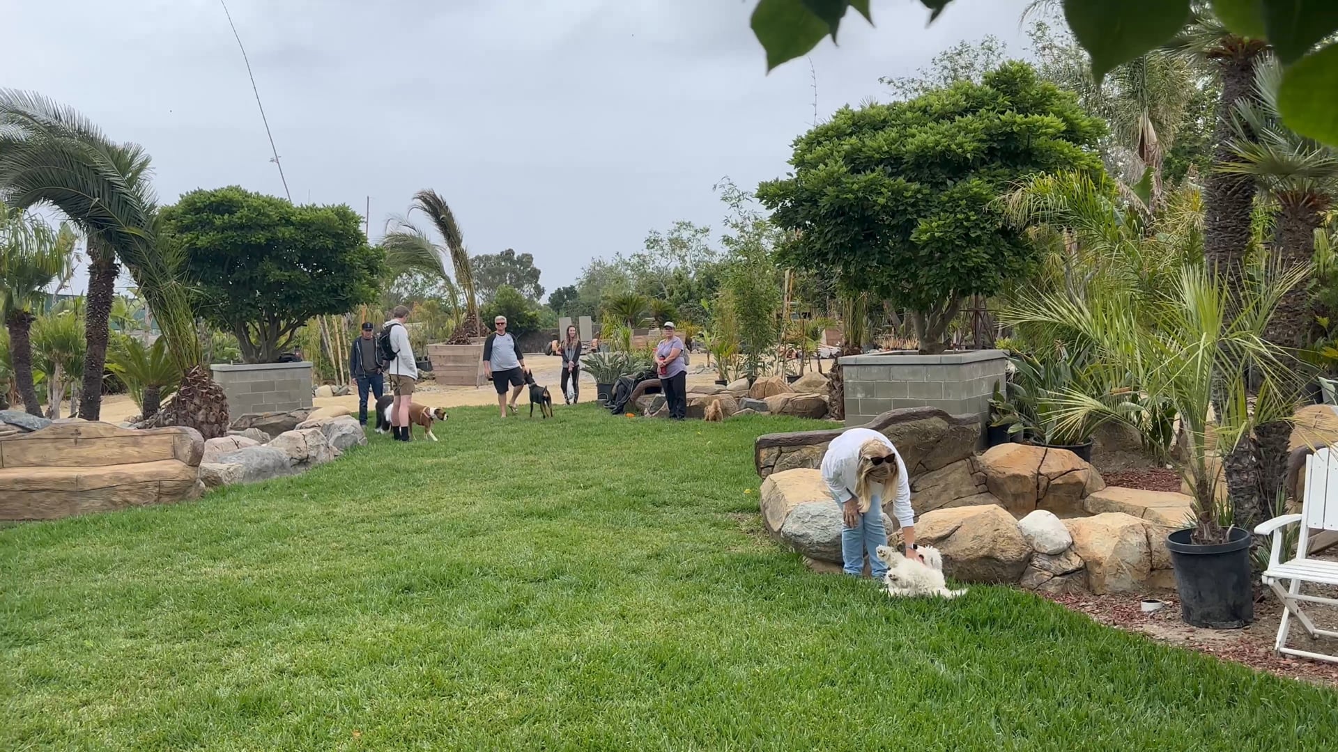 Dee Dog Park of iSpeakDog! - Exclusive Private Dog Park