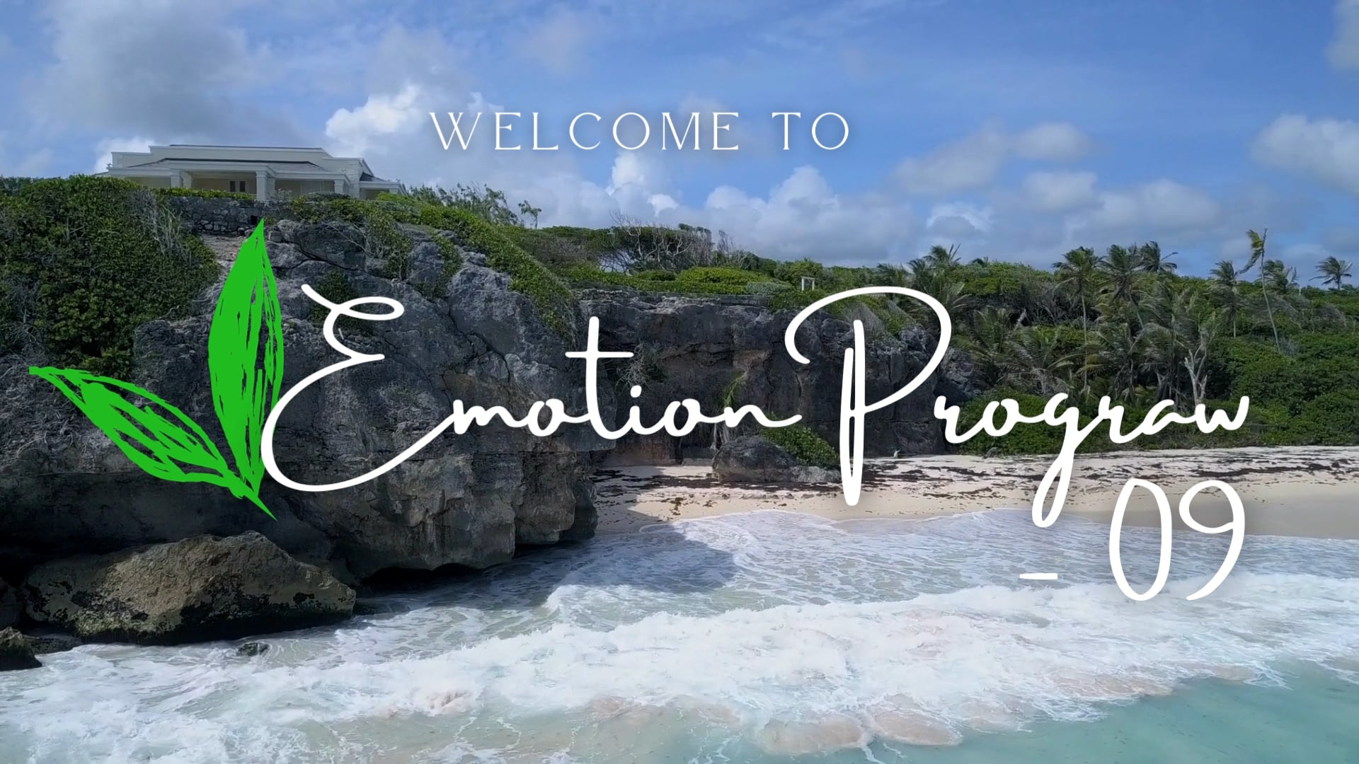 Emotion Program _09 on Vimeo