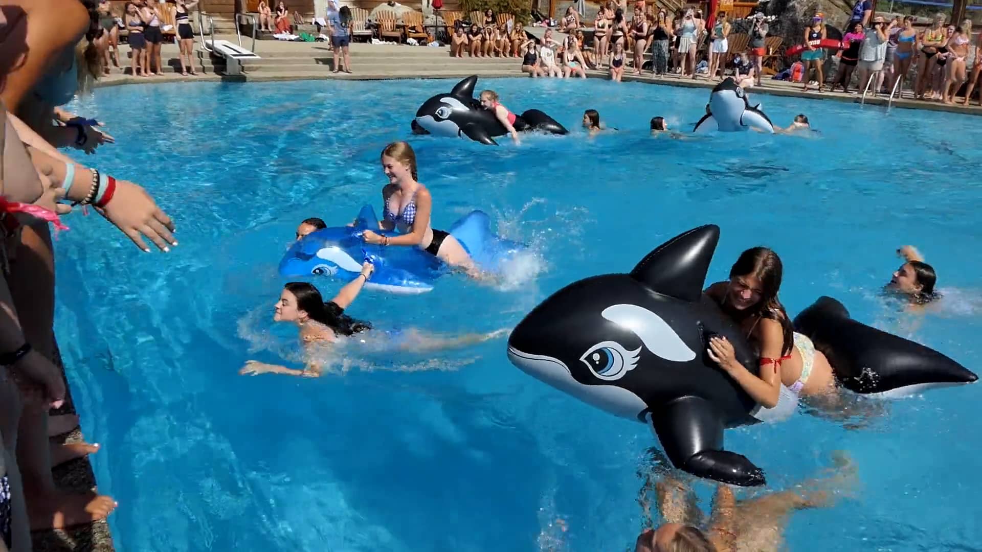 Pool Olympics & Water Regatta on Vimeo