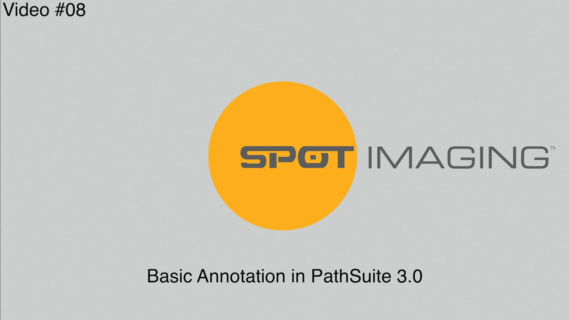 08 Basic Annotation PathSuite 3.0 on Vimeo