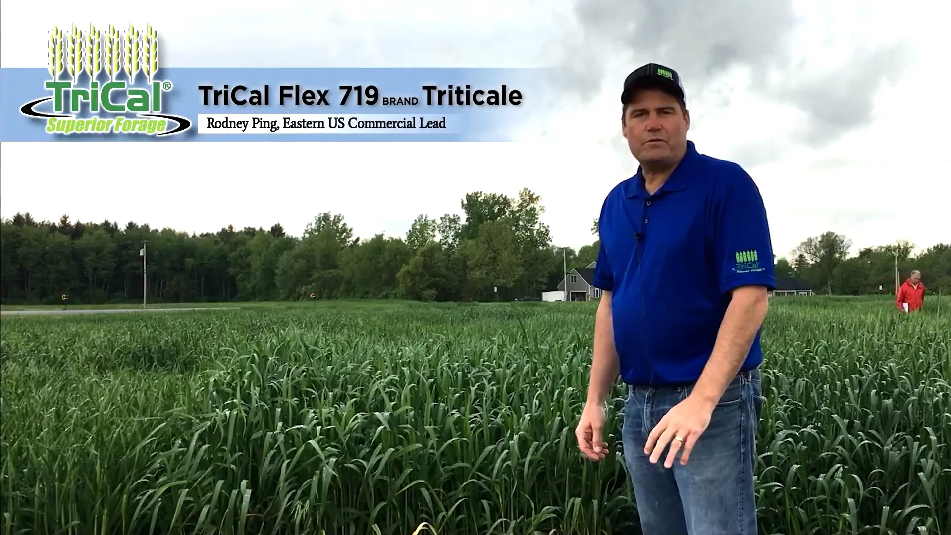 TriCal Flex 719 Triticale on Vimeo