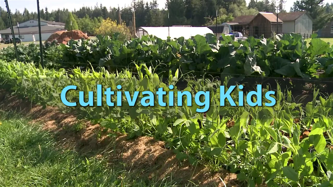 Watch Cultivating Kids Online | Vimeo On Demand on Vimeo