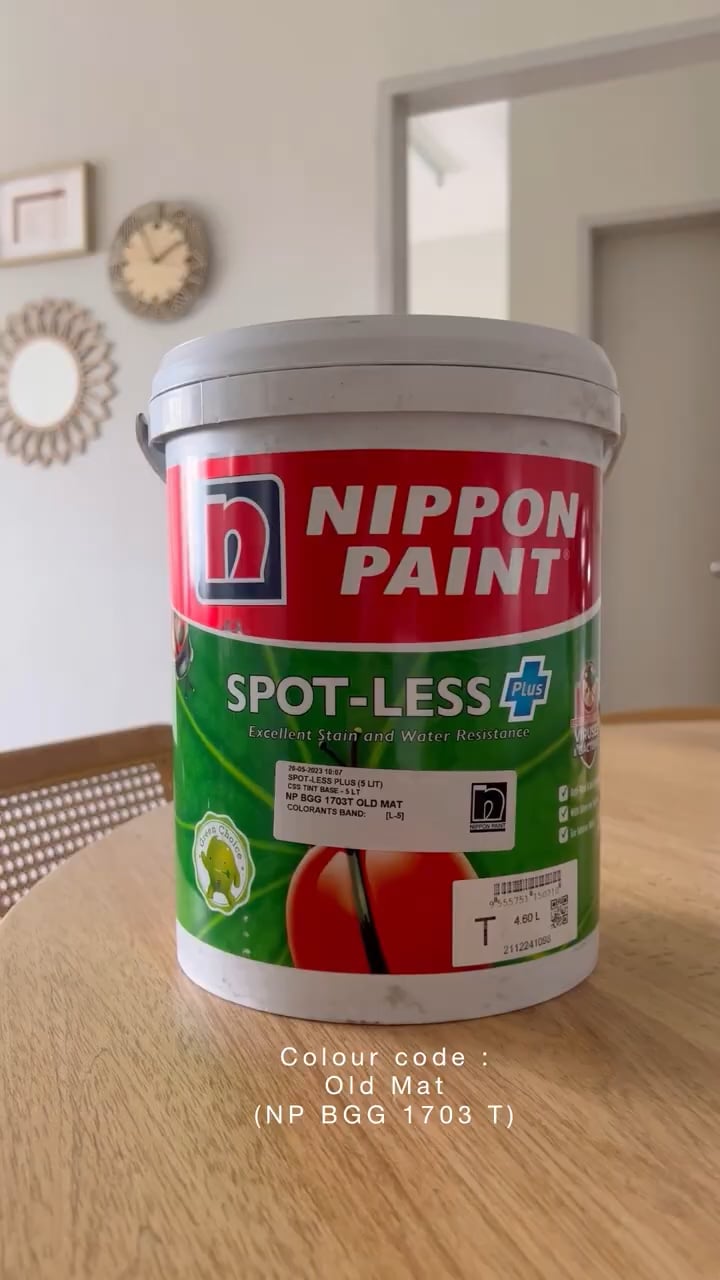 Transform Your Room Wall into a Stunning Masterpiece With Nippon Paint ...