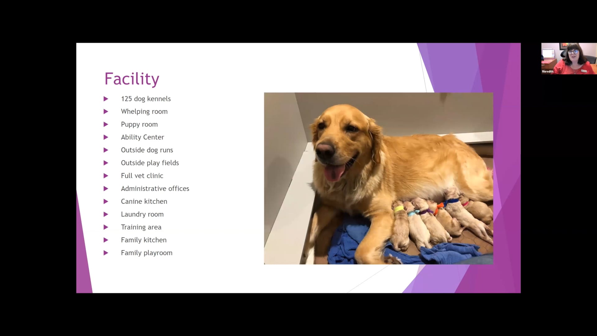 4 Paws for Ability on Vimeo