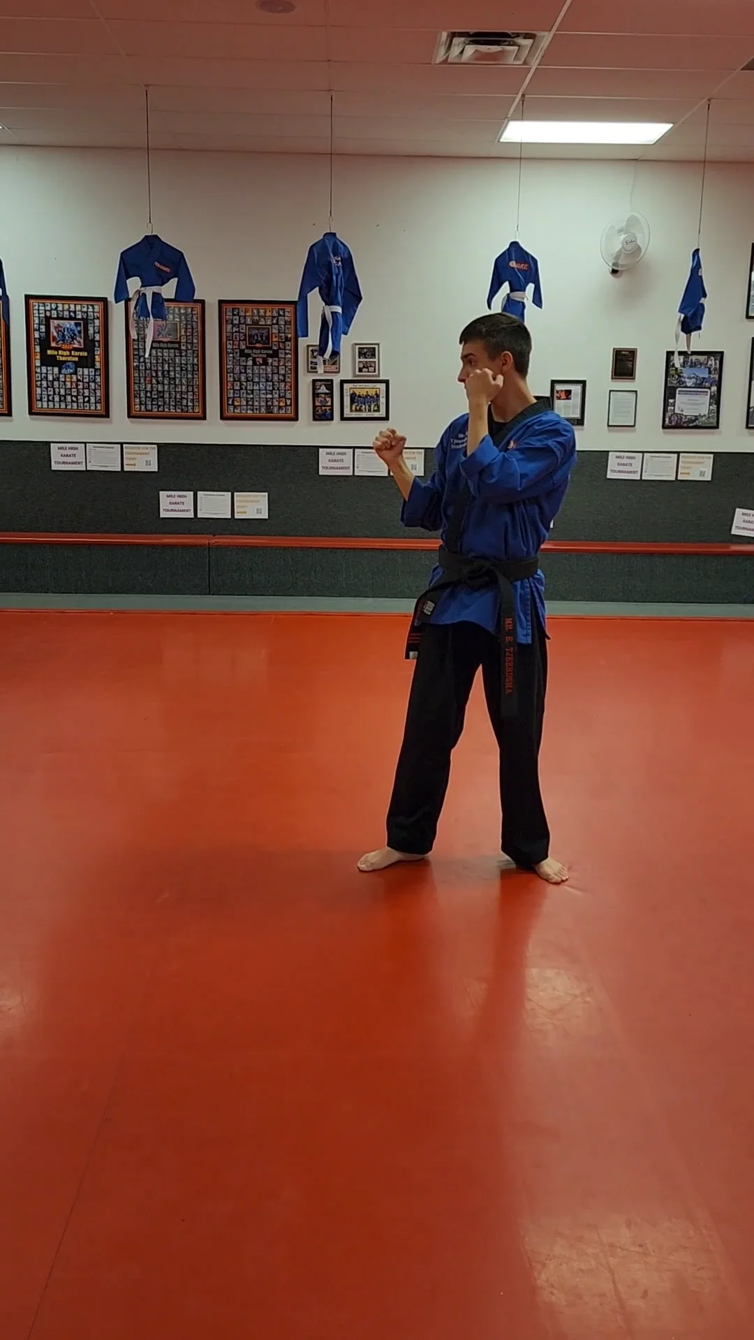 American Karate Combinations 1-4