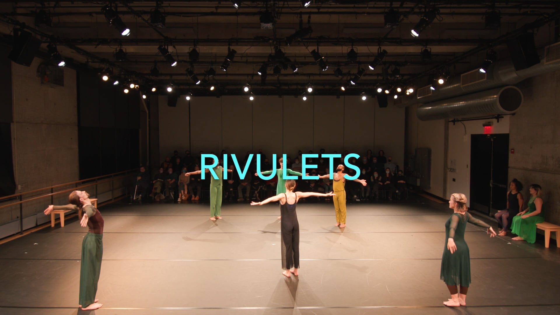 Big Tree Productions NYSCA Work Sample 1 on Vimeo