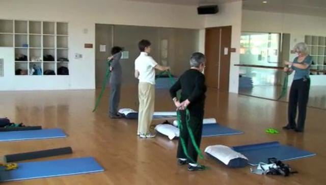 Stand Tall Exercise Program for Osteoporosis by Wendy Katzman, PT ...