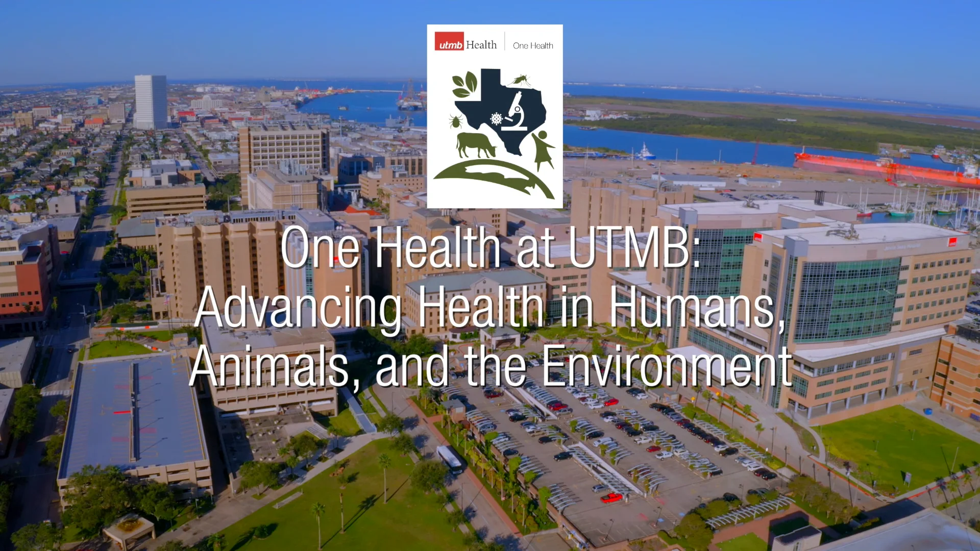One Health at UTMB Advancing Health in Humans, Animals and the Environment
