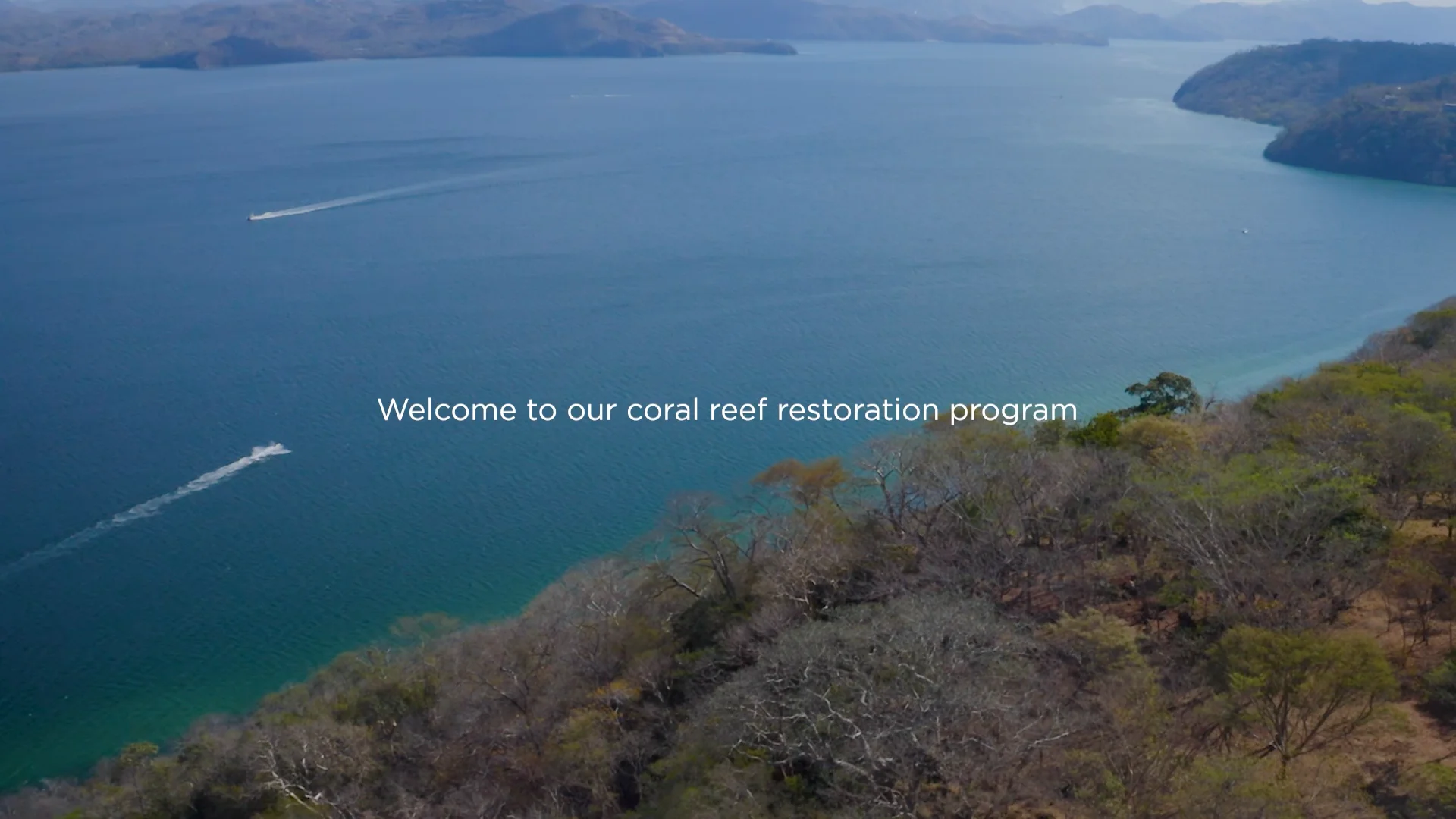 How are we reforesting Bahia Culebra Coral Reefs?