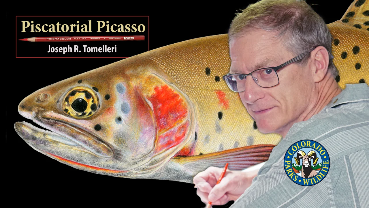 'Piscatorial Picasso' Renowned Fish Illustrator Joseph R. Tomelleri