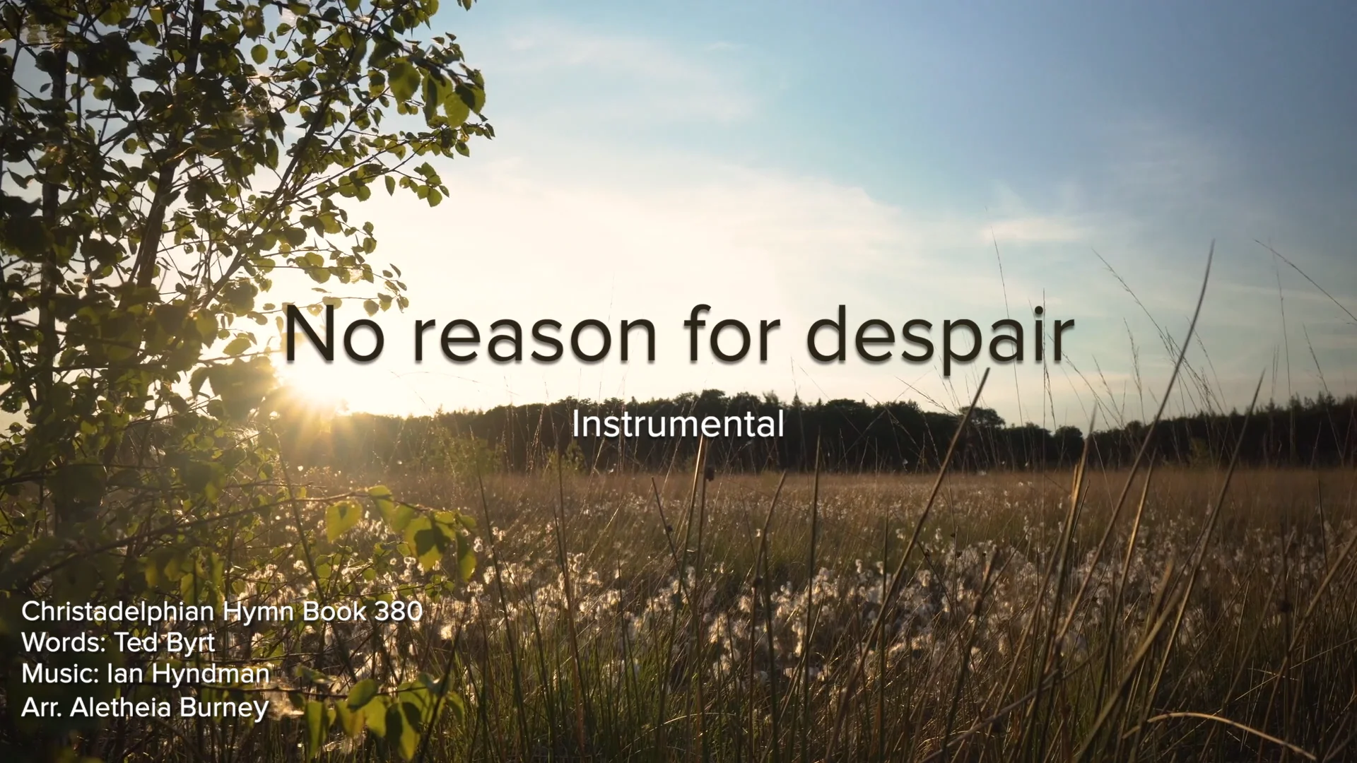 Instrumental - Hymn 380 - No reason for despair