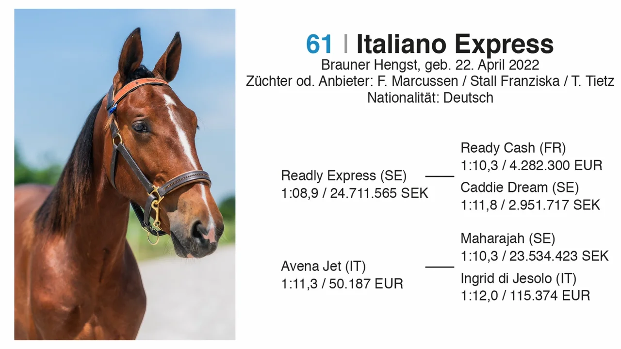 Auktionsnummer 61 - Italiano Express (DE)