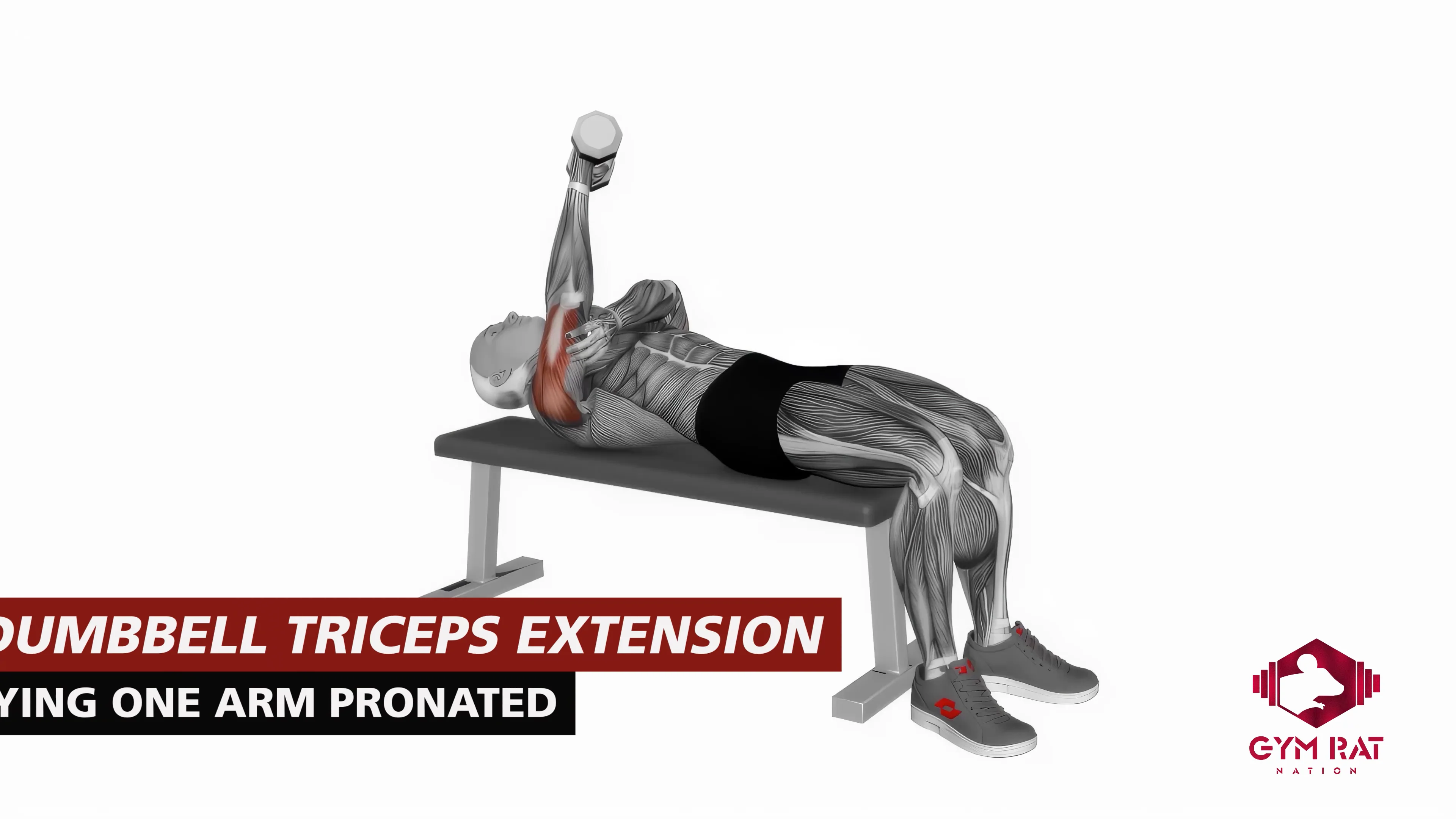 Dumbbell Lying One Arm Pronated Triceps Extension on Vimeo