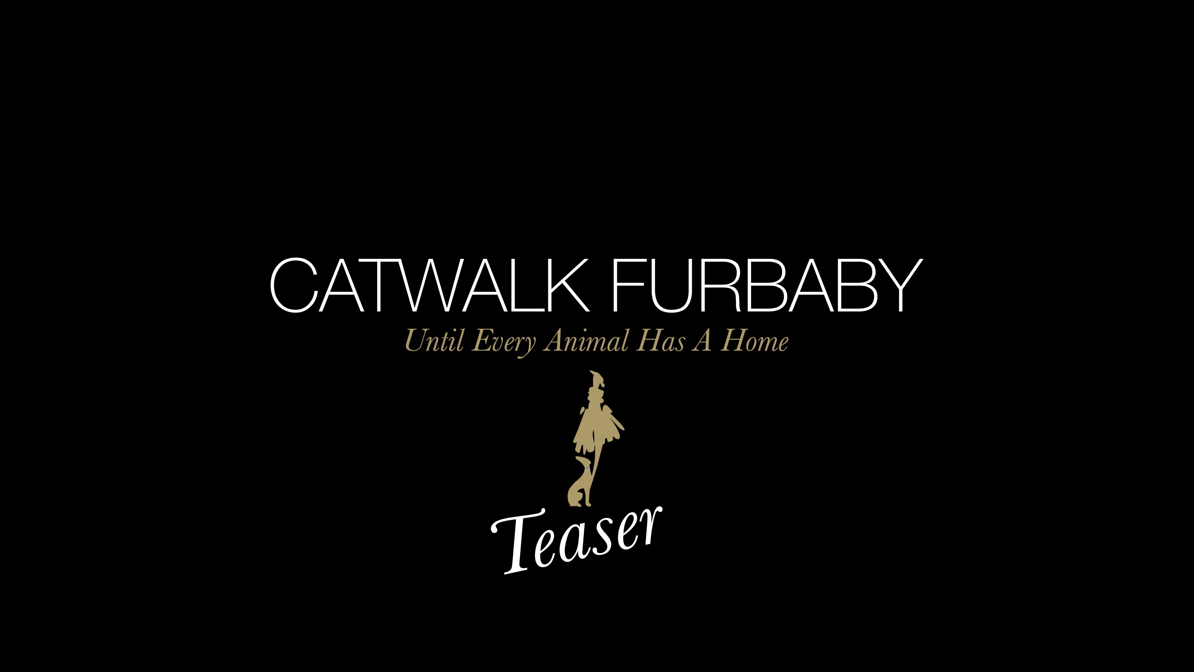 TEASER - Catwalk Furbaby on Vimeo