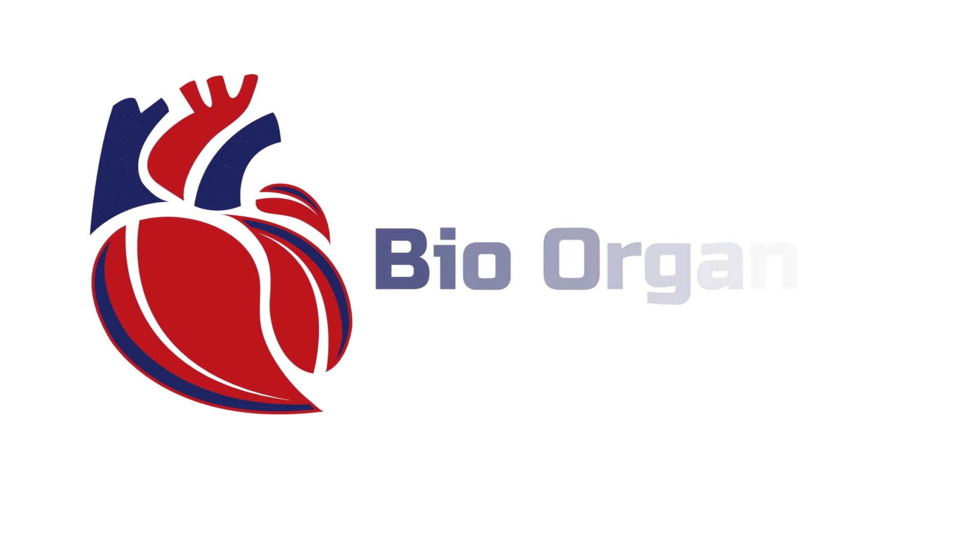 Montage-Bio_1 on Vimeo