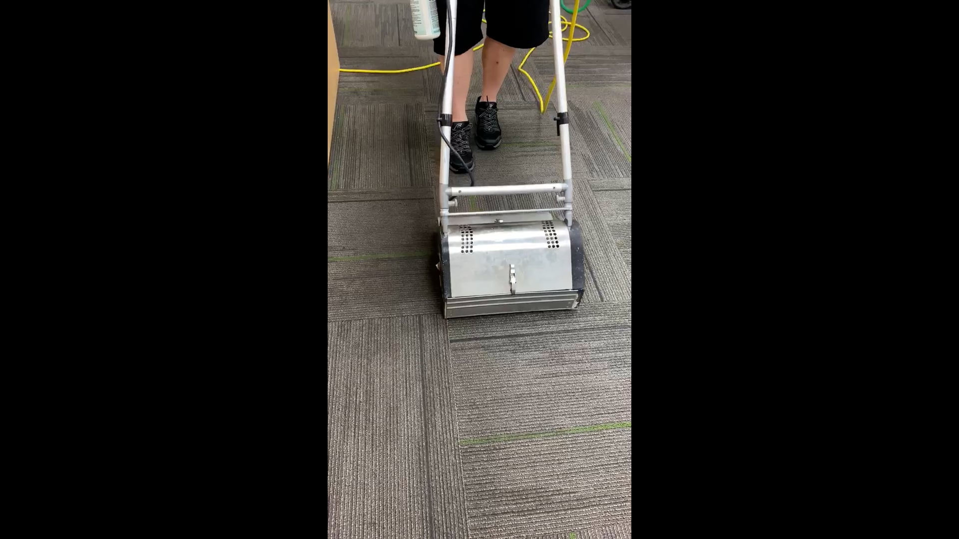 Expert Carpet Cleaning Services - Drake Carpet Services