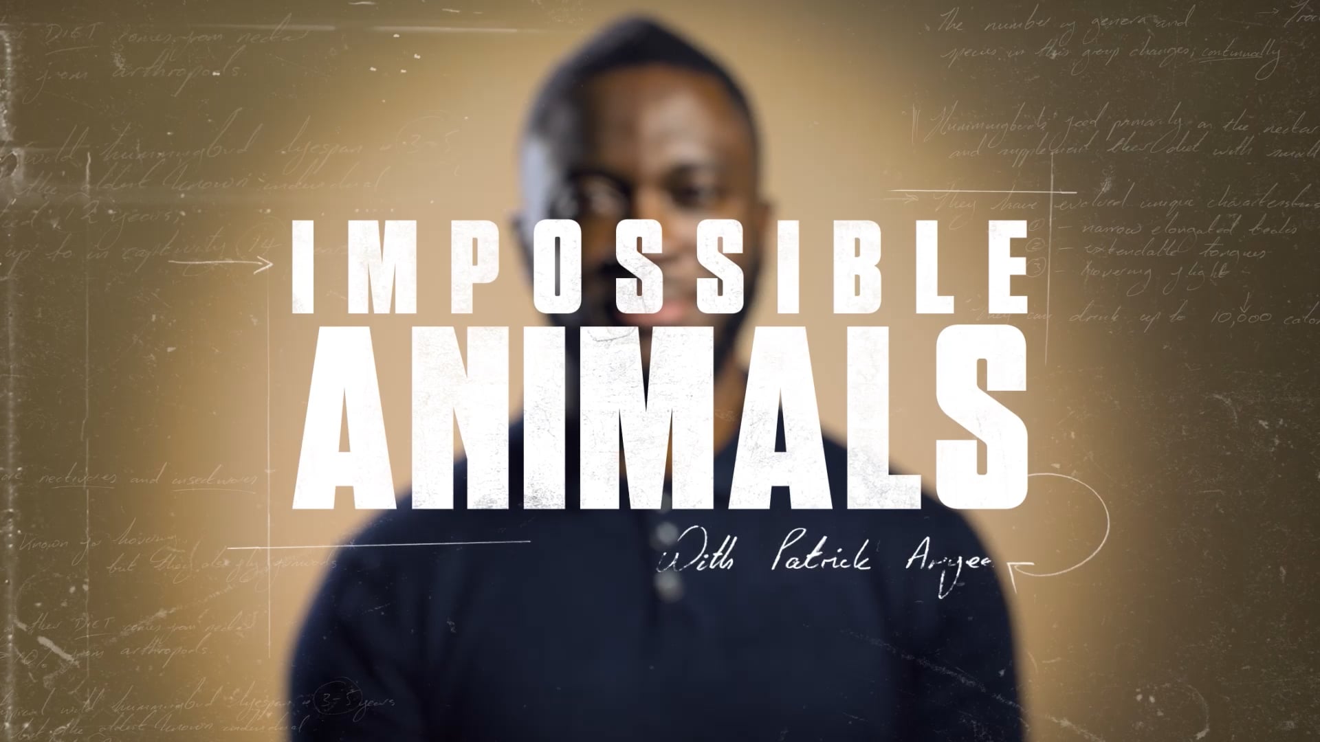Impossible Animals - Hello Charlie
