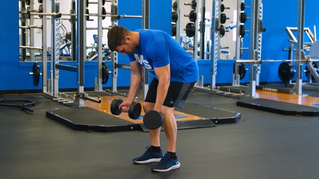 Underhand Dumbbell Row