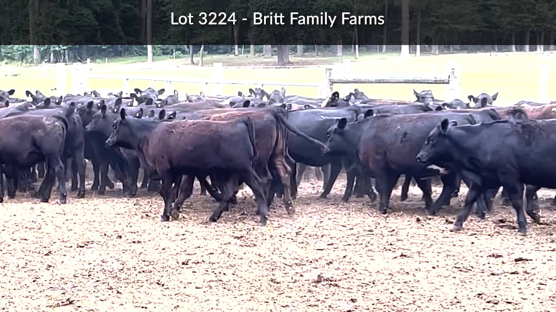 3224-Britt Family Farms on Vimeo