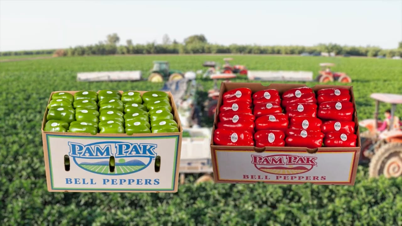 Baloian Farms, Bell Peppers on Vimeo