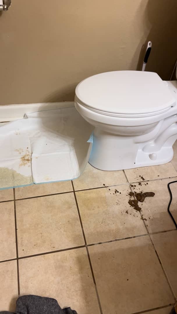 Part potty on pad on Vimeo