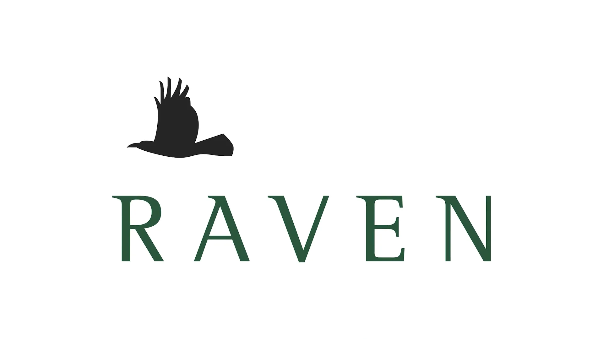 Raven Capital AGM 2023 - Guest Speakers on Vimeo