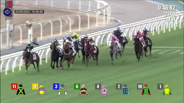 Star Turn - Stallion | Breednet