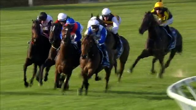 All Too Hard - Stallion | Breednet