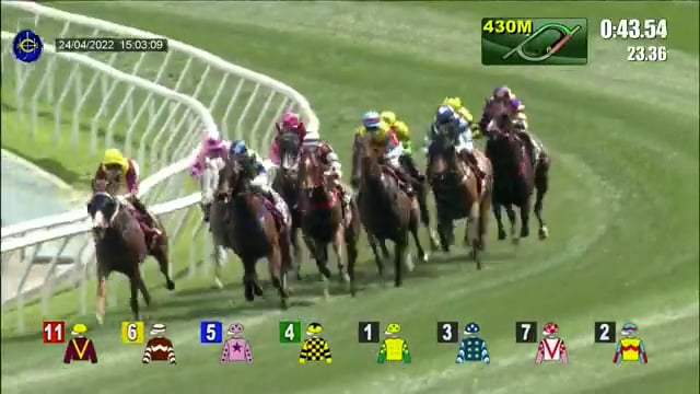 All Too Hard - Stallion | Breednet