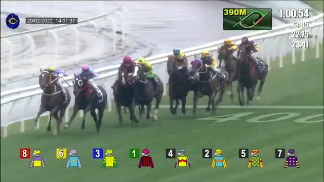 All Too Hard - Stallion | Breednet