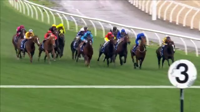 Exceedance - Stallion | Breednet