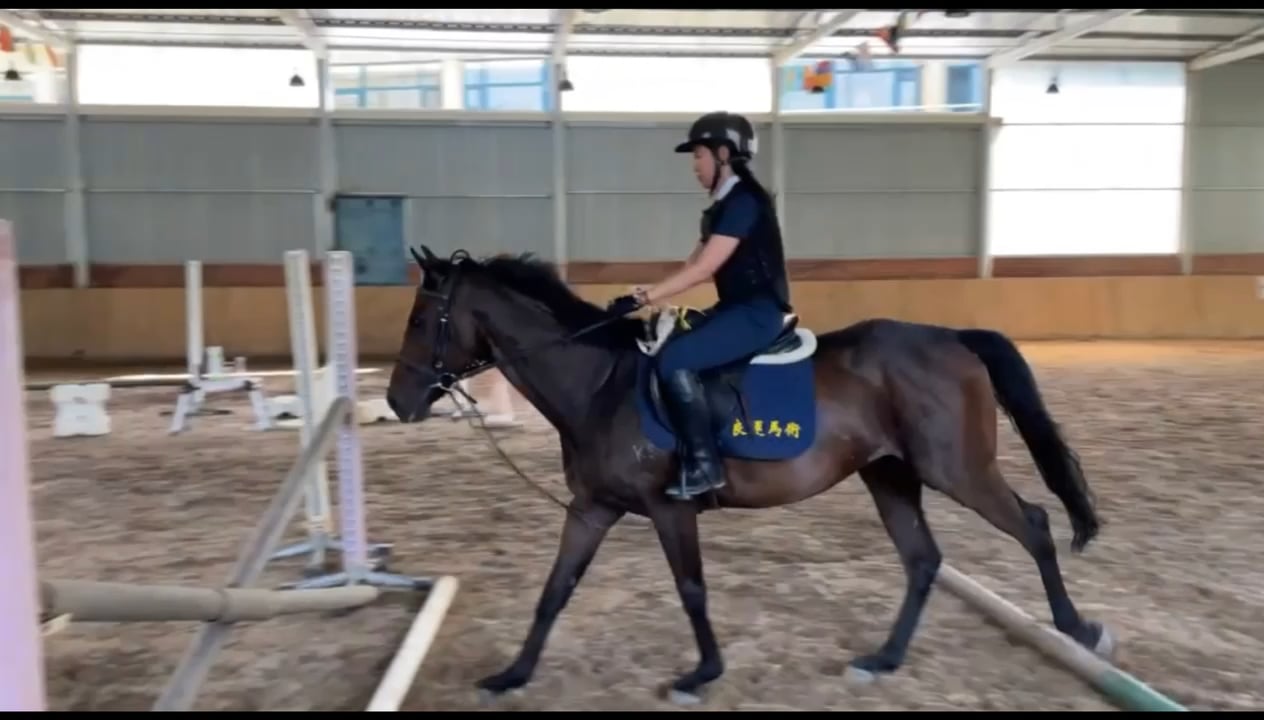 Monica Meng - Horse Riding on Vimeo