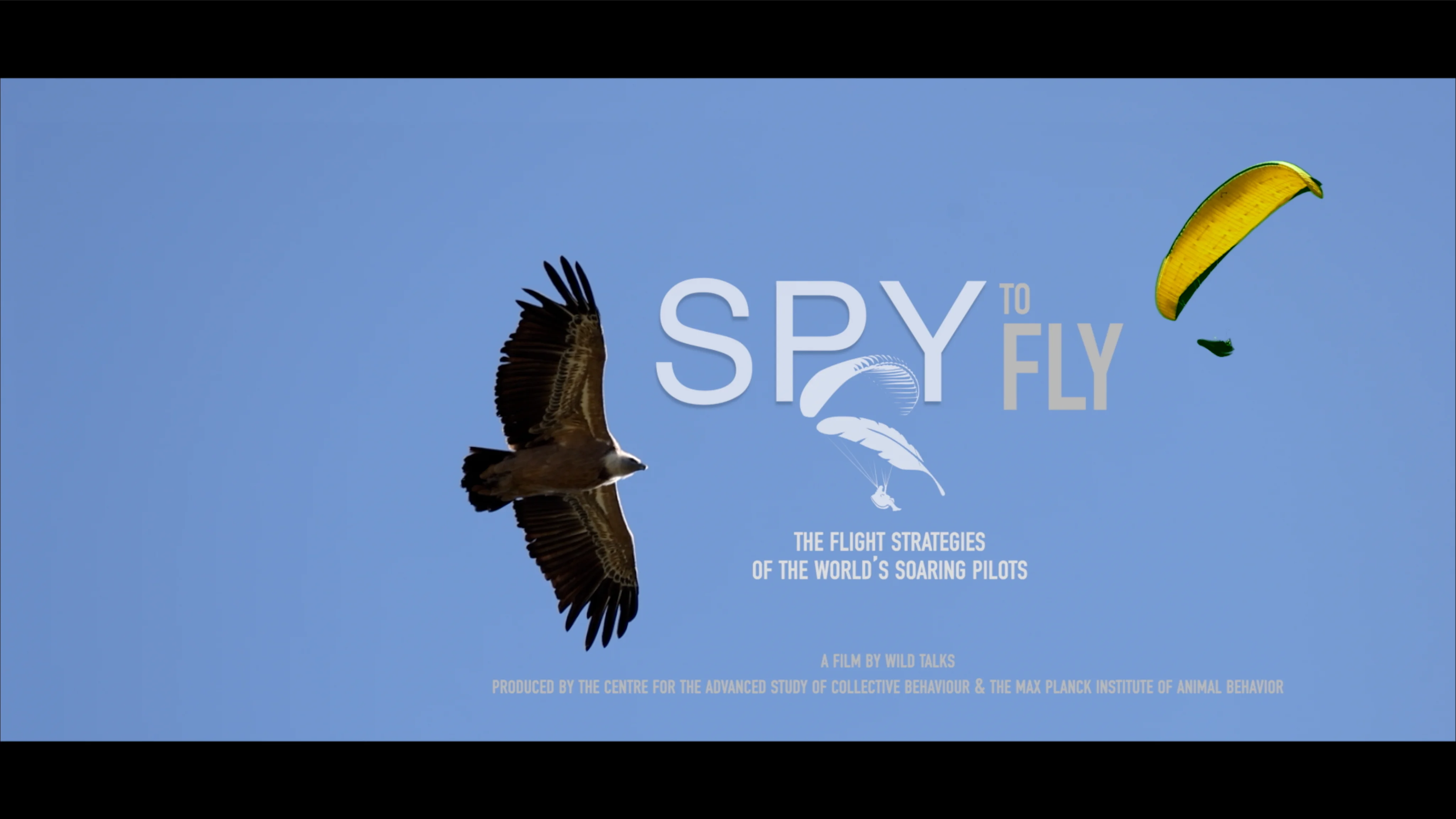 SPY TO FLY