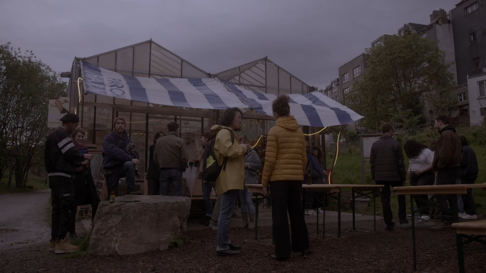 Les Oiseaux Rares - teaser on Vimeo