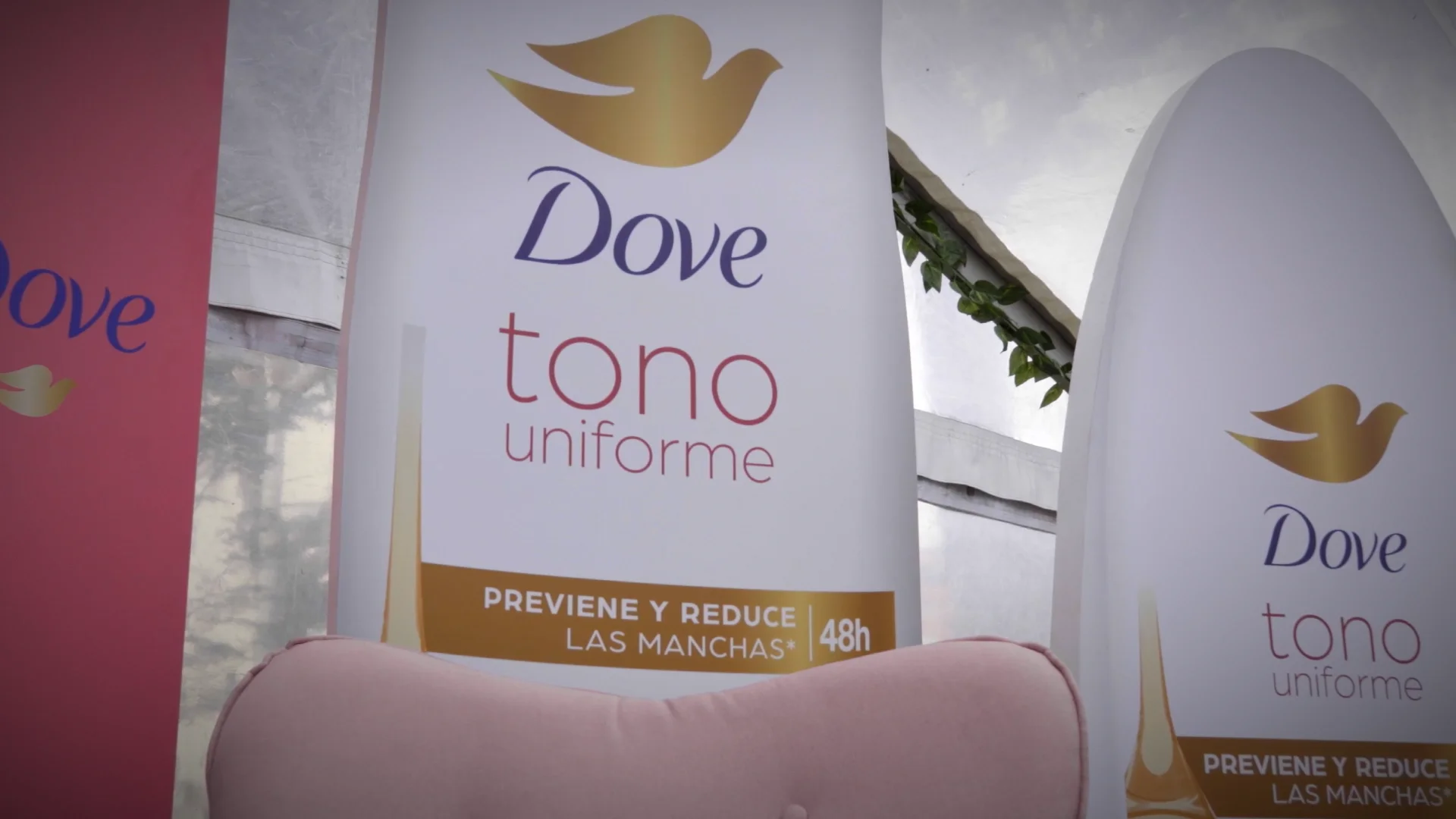 *Dove*- Lanzamiento Influenciadores