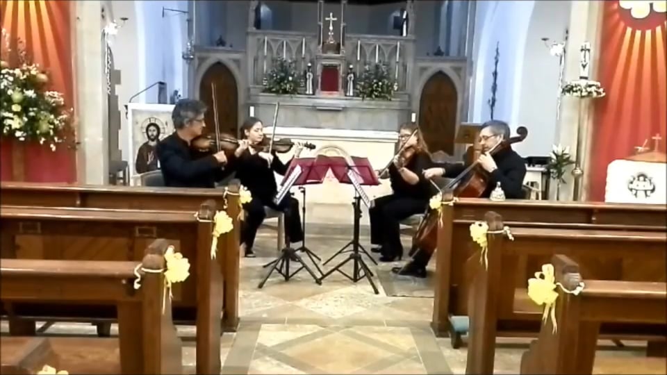 Forest String Quartet - Live Showreel 2023 on Vimeo
