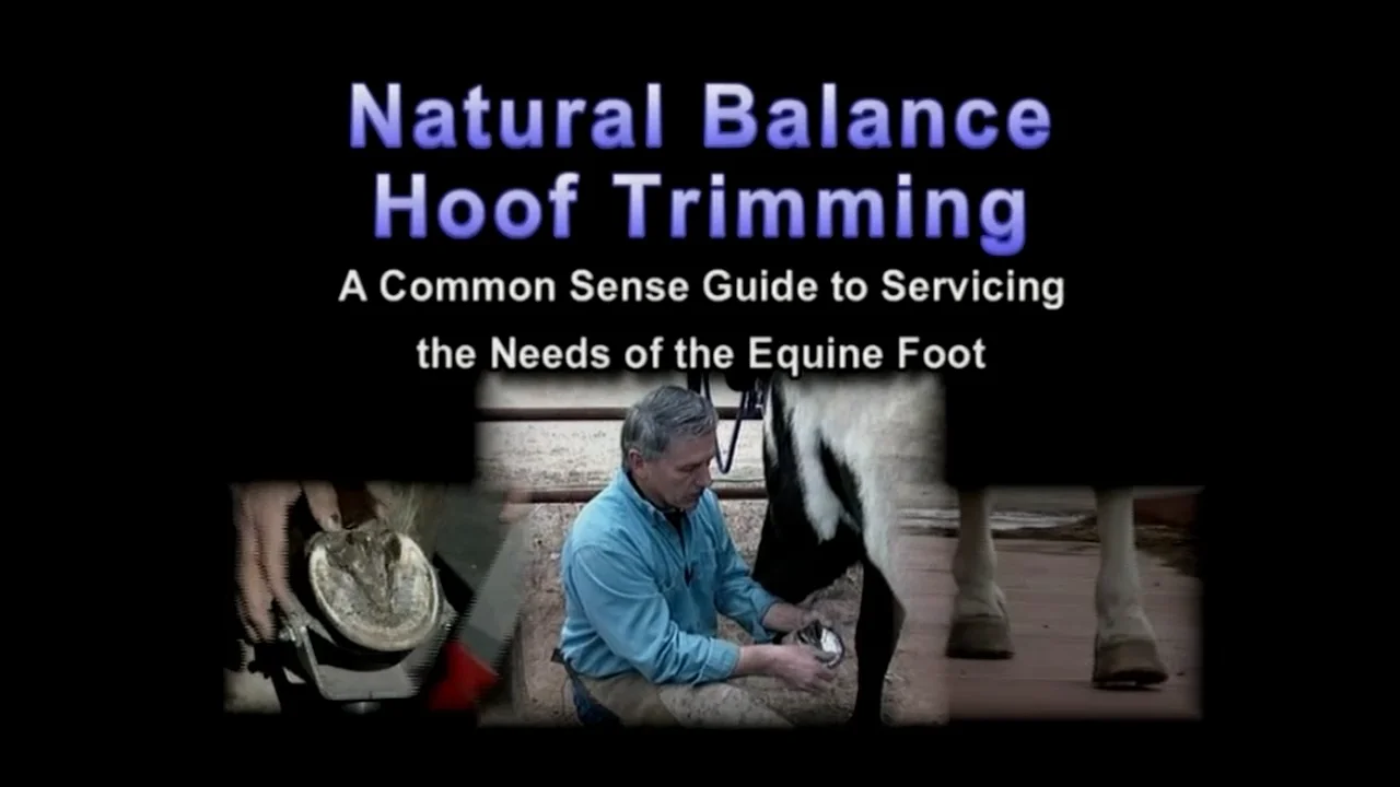 Watch Natural Balance Hoof Trimming for Horses Online | Vimeo On Demand ...