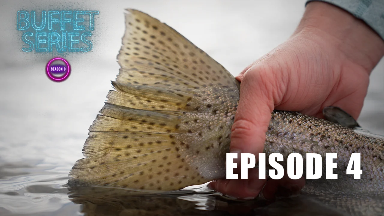 Buffet Series - Finding Water