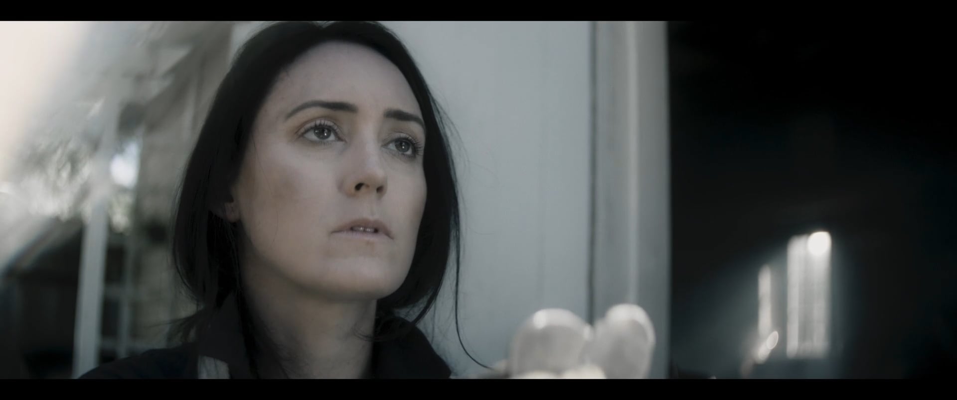 SCREAMING INTO THE WIND TRAILER on Vimeo