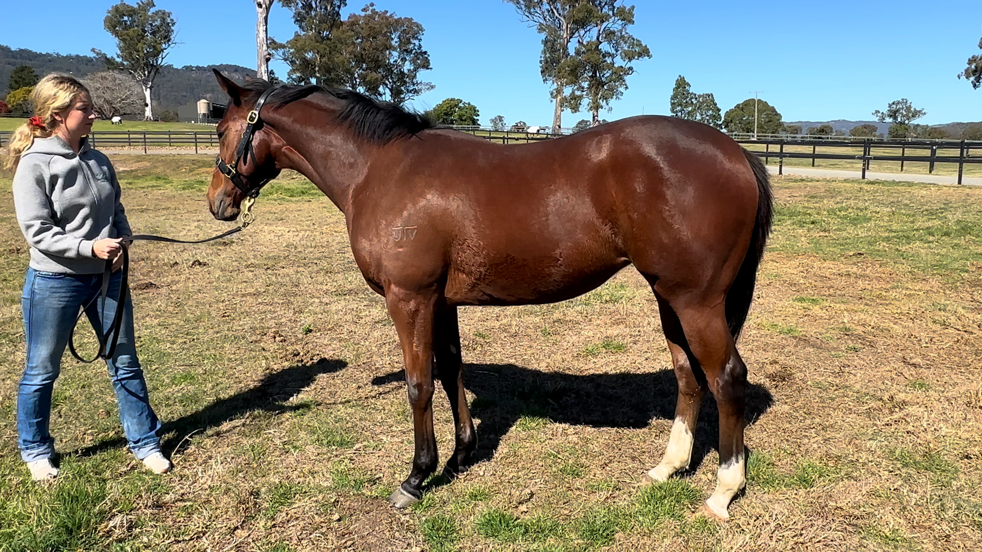 Silver basque x brave smash on Vimeo