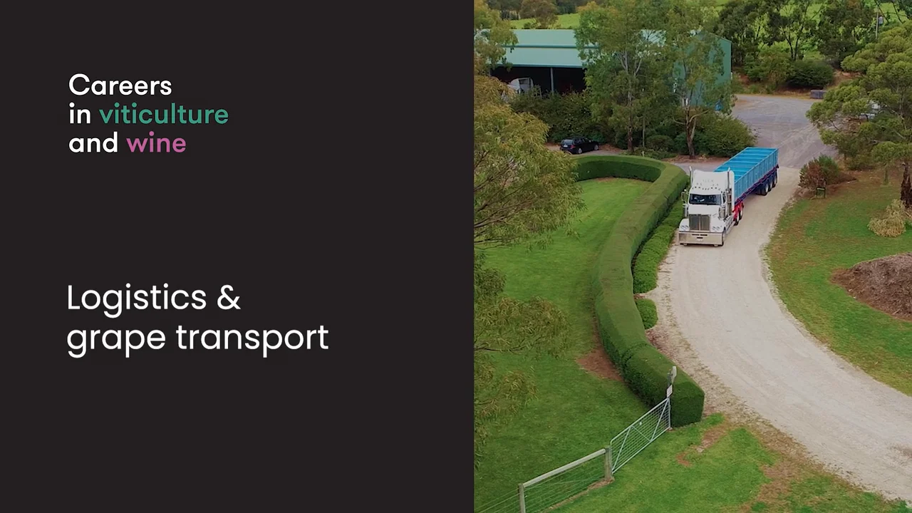 Vineyard contractor, logistics and grape transport on Vimeo
