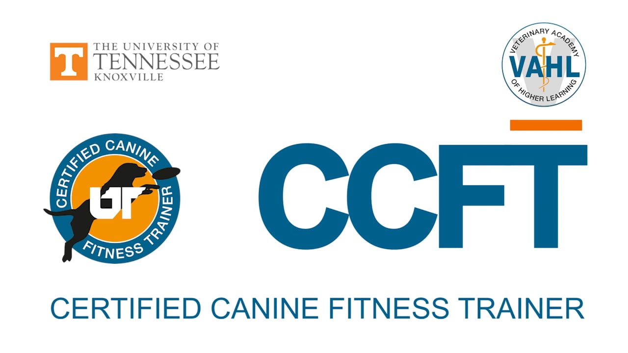 CCFT - Certified Canine Fitness Trainer: Statements on Vimeo