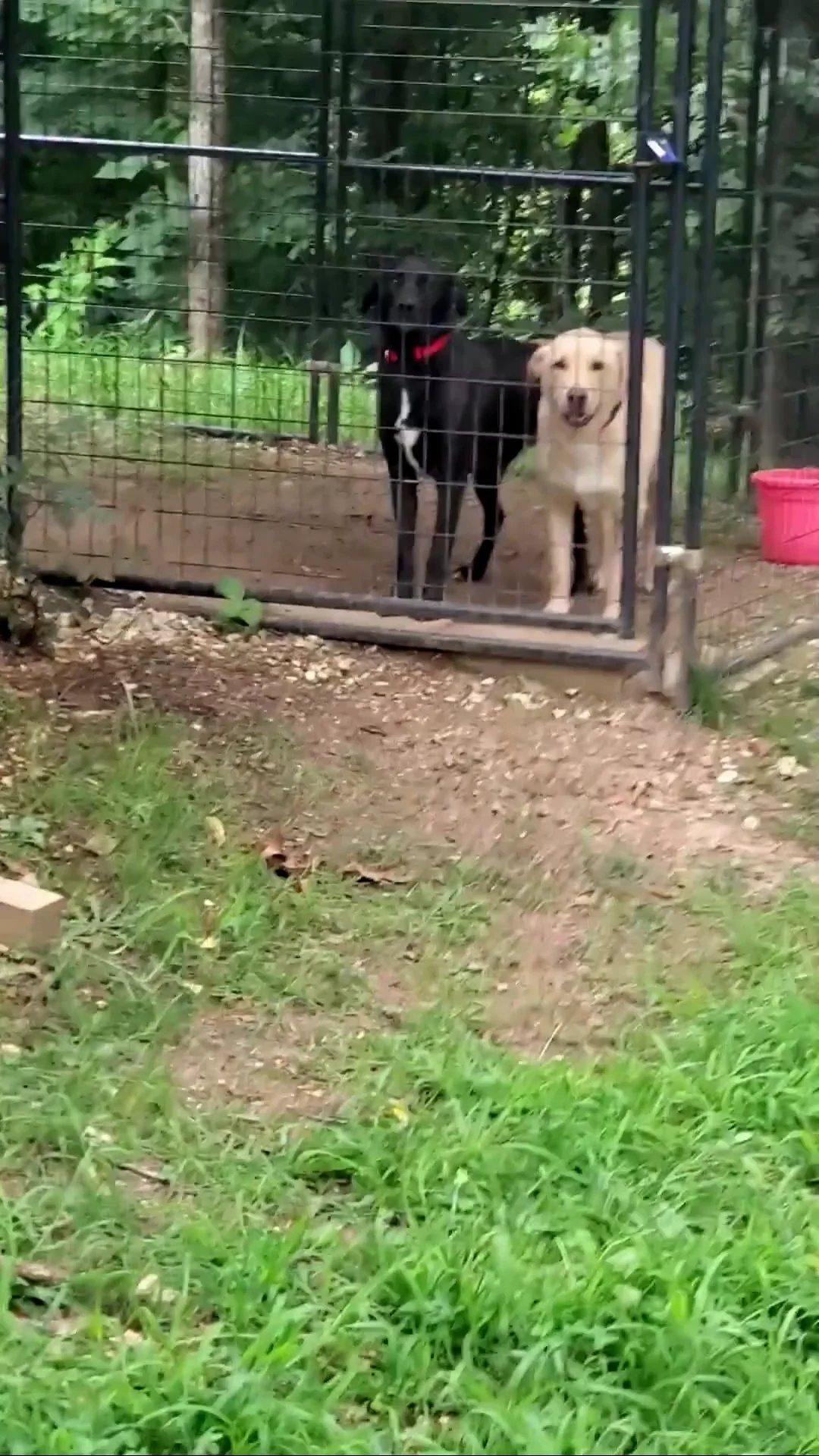 Riley & Murphy on Vimeo