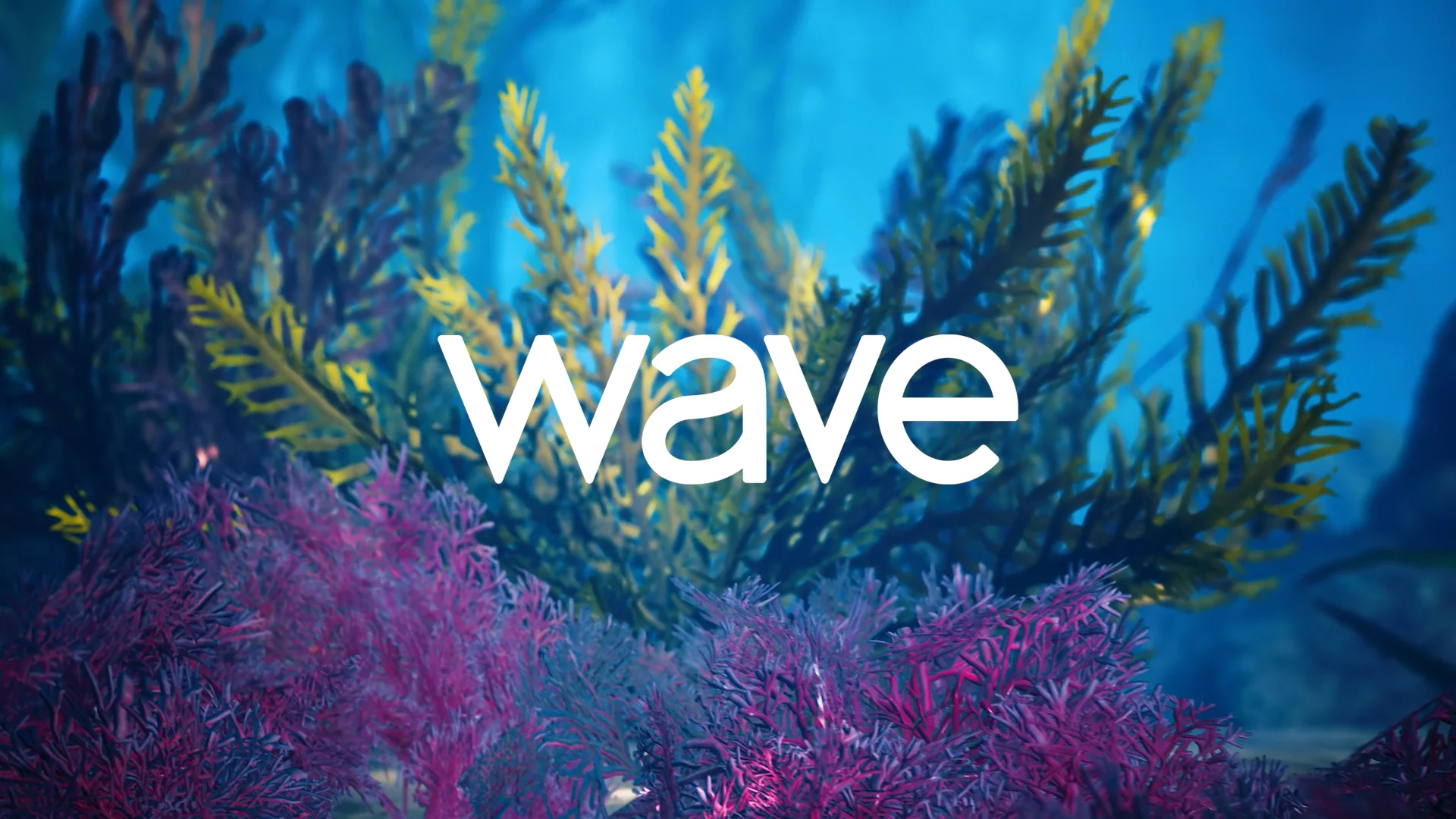 WAVE on Vimeo