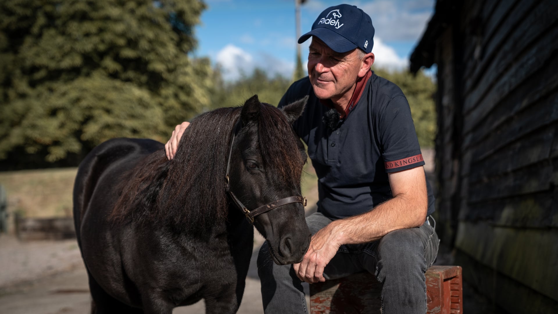 Meet Alan Davies’ Show Pony! | Ridely